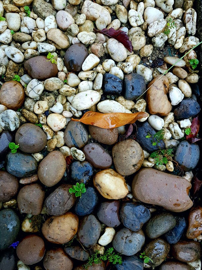 Colors of rocks stock photo. Image of rocks, green, colors - 75983780