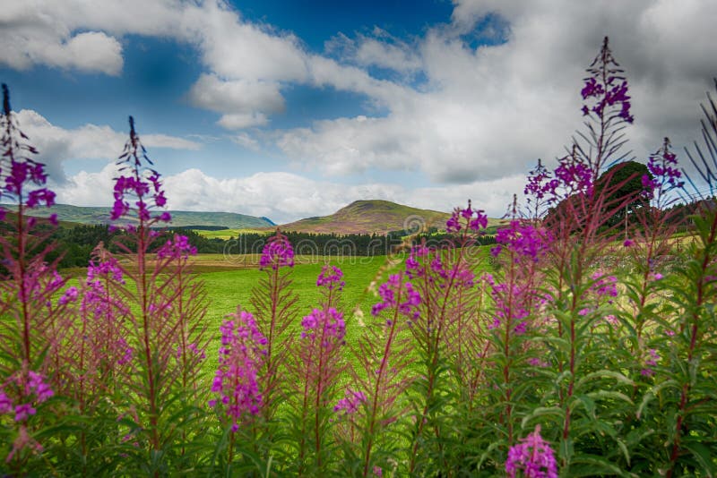 The colors of Scotland stock photo. Image of clouds, color - 40727624
