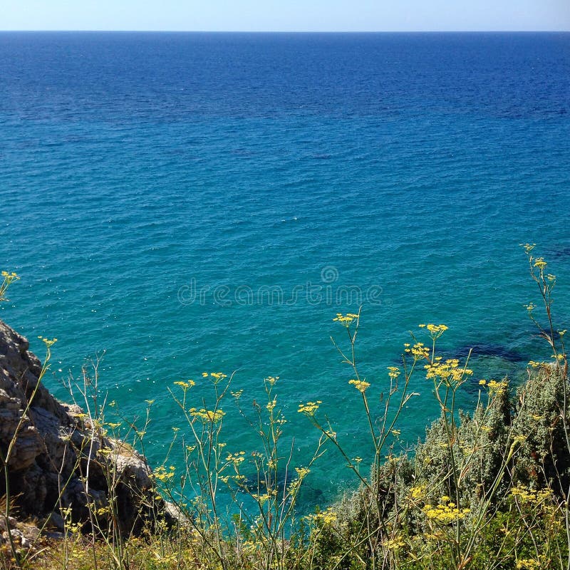 Colors of Sea stock image. Image of flowers, colorful - 152550219