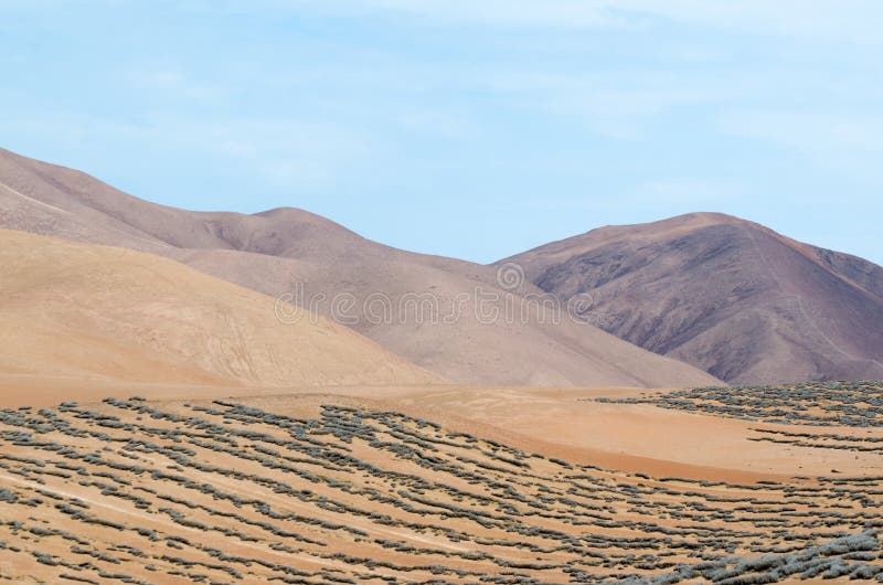 Colors and Shapes of the Desert Stock Photo - Image of shapes ...