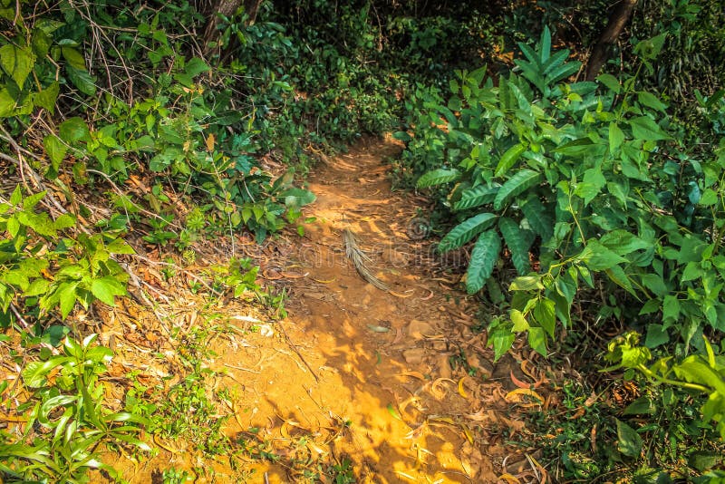 Colors of southern India stock image. Image of season - 114420965