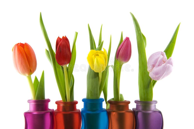 Colors in spring stock image. Image of colors, flowers - 13021405