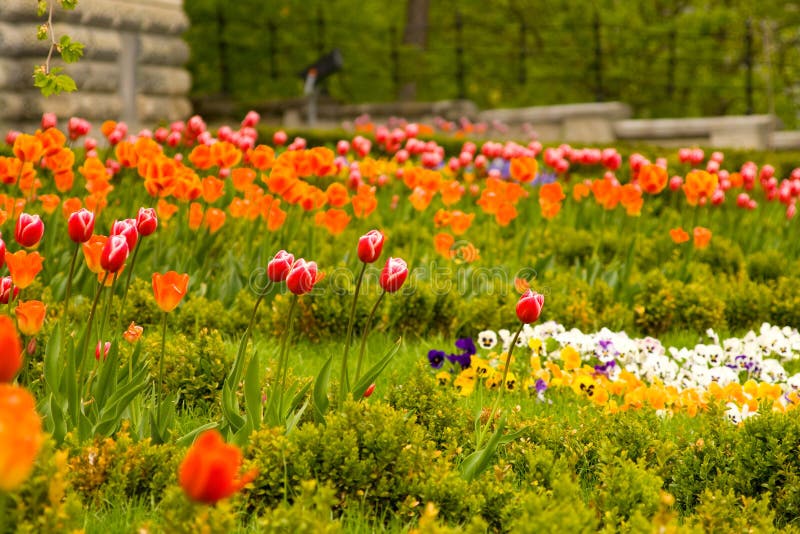 Colors of spring stock image. Image of spring, decoration - 13970049