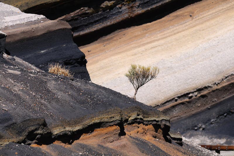 Colors of volcano land stock photo. Image of foliage - 12483466