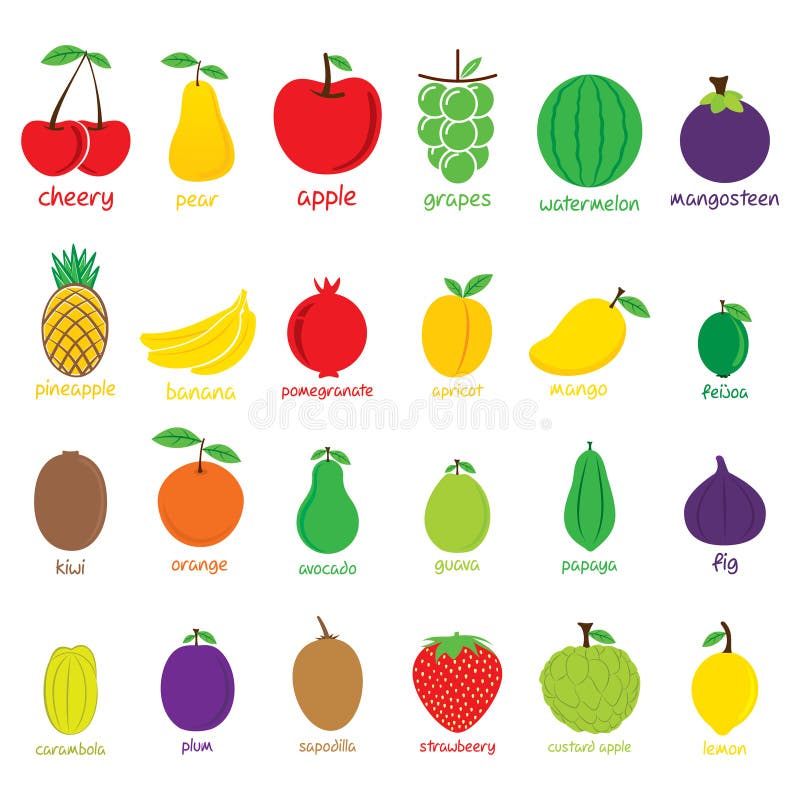 Colorufl fruit design stock vector. Illustration of papaya - 56067171