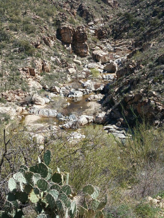 Colossal caves AZ stock image. Image of river, wadi - 321374781