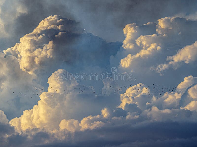Colossal Cloud Formation Landscape Stock Photo - Image of clouds, birds ...