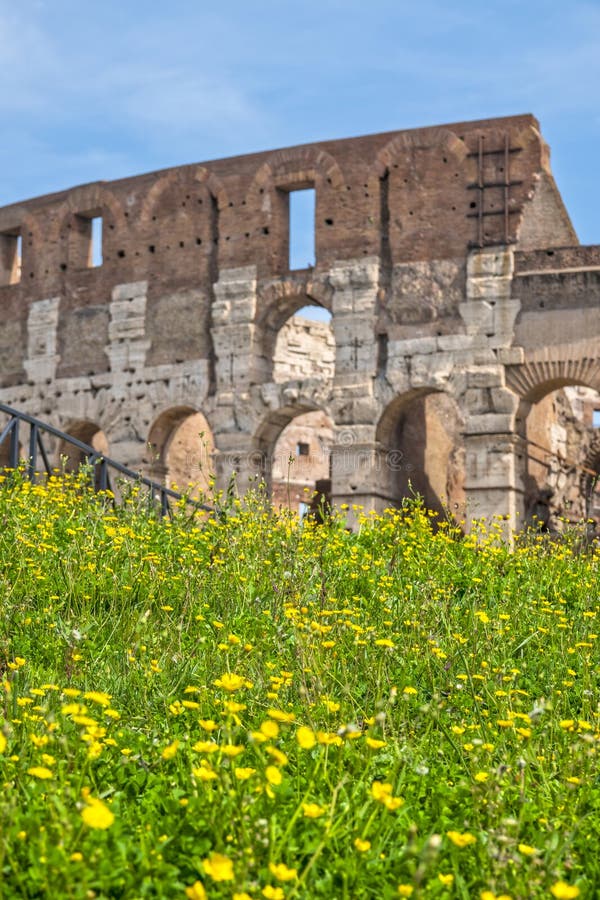 241 Colosseum Flowers Stock Photos - Free & Royalty-Free Stock Photos ...