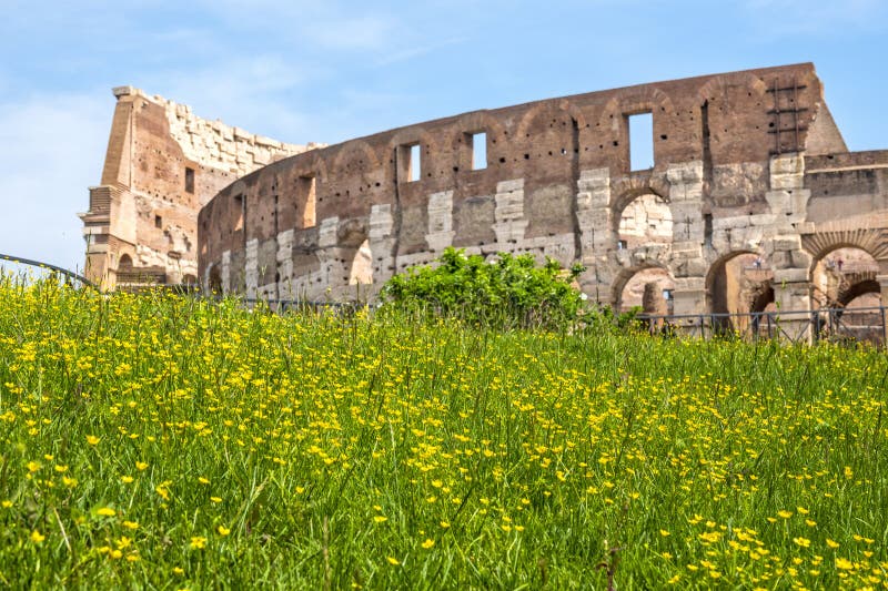 241 Colosseum Flowers Stock Photos - Free & Royalty-Free Stock Photos ...