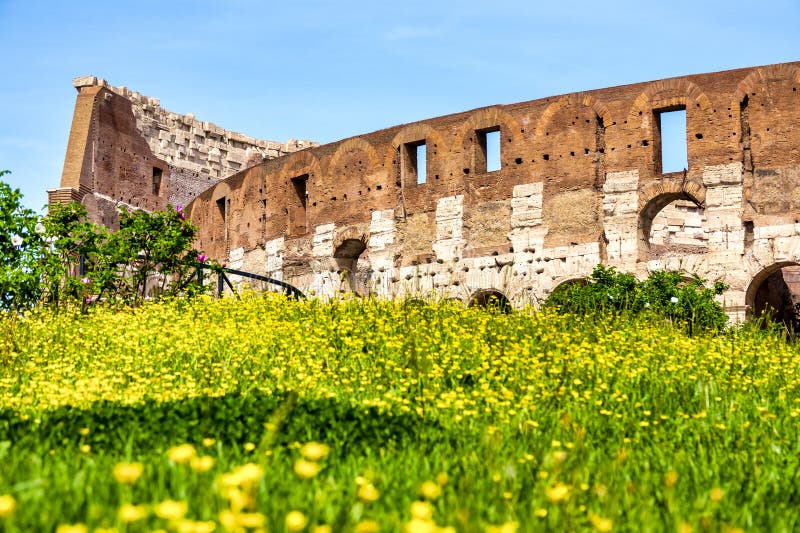 241 Colosseum Flowers Stock Photos - Free & Royalty-Free Stock Photos ...