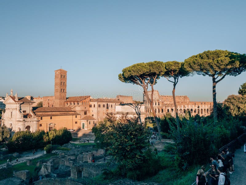 Colosseum in Italy, Rome Seen from a Park and through Trees Editorial ...