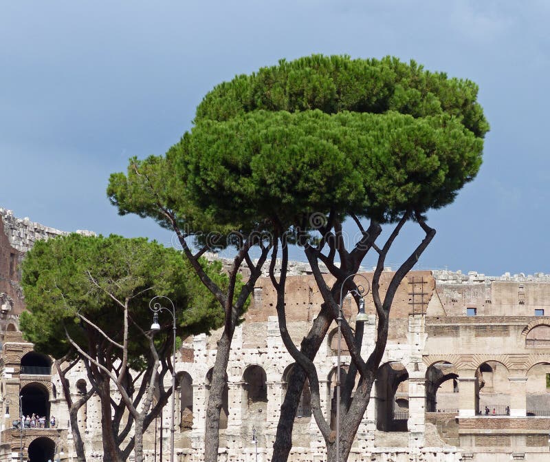 The Colosseum in Rome stock photo. Image of arch, colosseum - 44471194