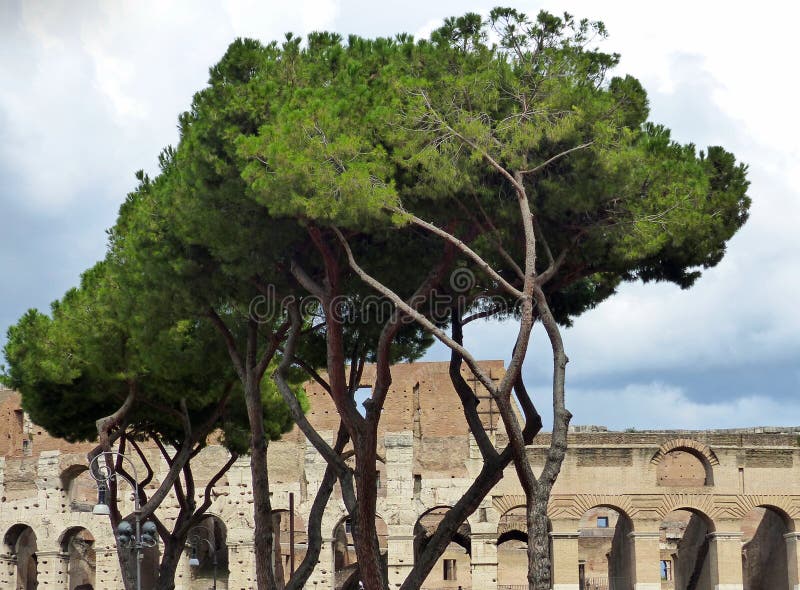 The Colosseum in Rome stock photo. Image of ruins, roman - 44471198