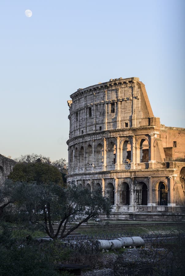 315 Vertical Colosseum Photos - Free & Royalty-Free Stock Photos from ...