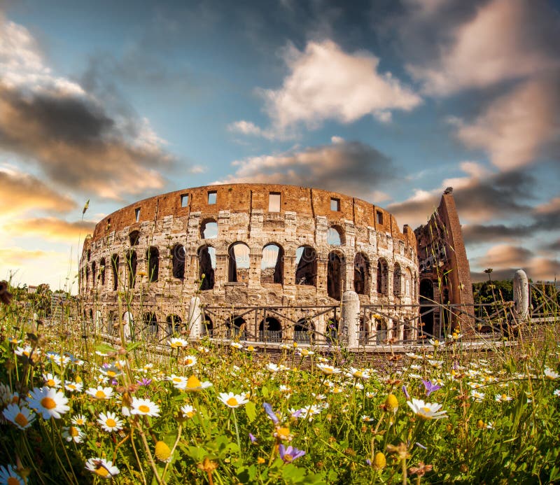 230 Colosseum Flowers Stock Photos - Free & Royalty-Free Stock Photos ...