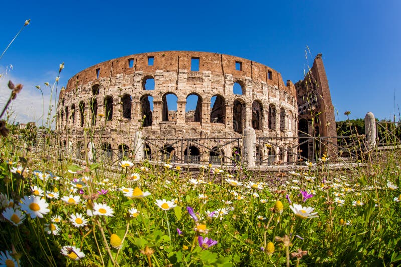 Colosseum during Spring Time, Rome, Italy Stock Photo - Image of ...