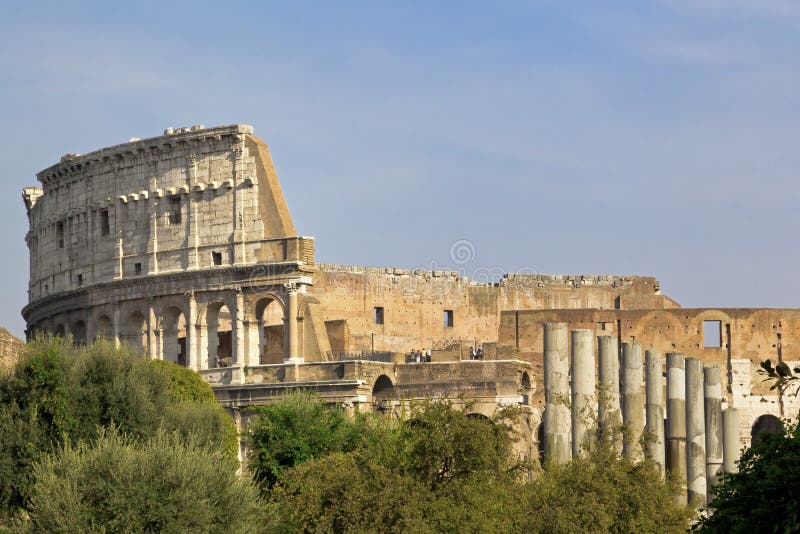 Colosseum through trees stock image. Image of arena, building - 24565231