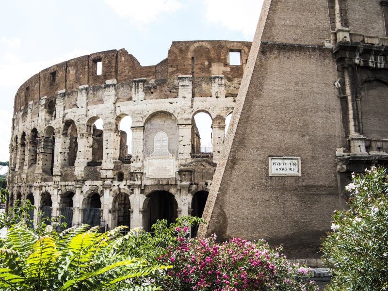 261 Colosseum Side View Stock Photos - Free & Royalty-Free Stock Photos ...