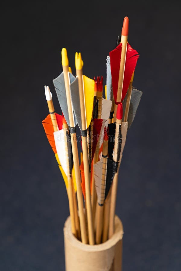 Colouful Arrows Fins stock photo. Image of fletch, sports - 196865524