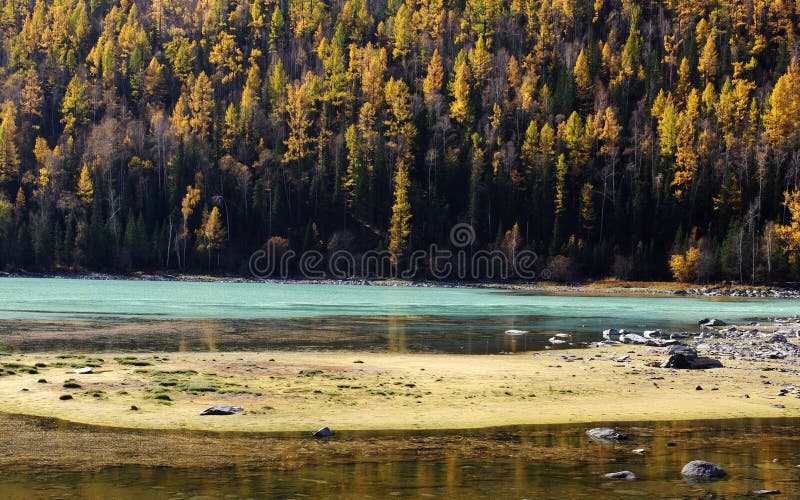 The Colour of Autumn,Wolong Bay Stock Image - Image of grassland, kanas ...