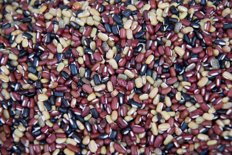 Colour of beans. stock photo. Image of color, closeup - 75307866