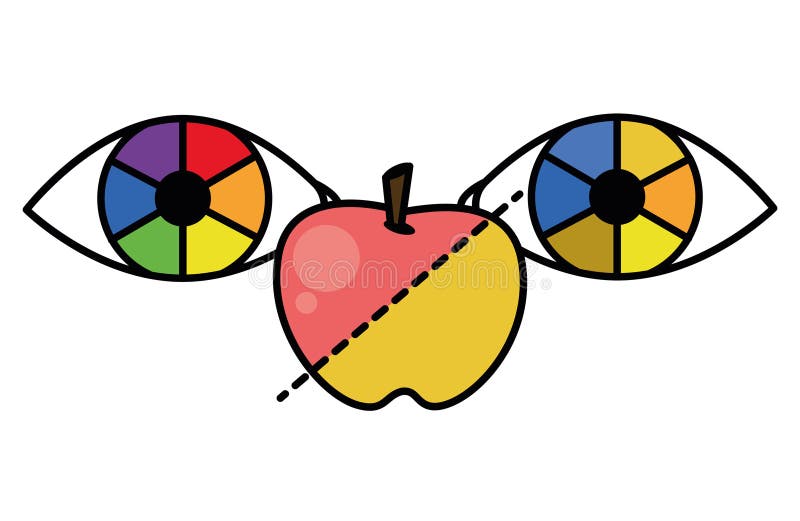 Colour Blindness and Normal Vision Stock Vector - Illustration of pupil ...