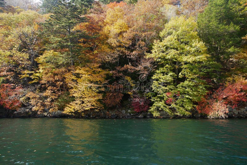 Colour Changing Along River Stock Photo - Image of leaves, foliage ...