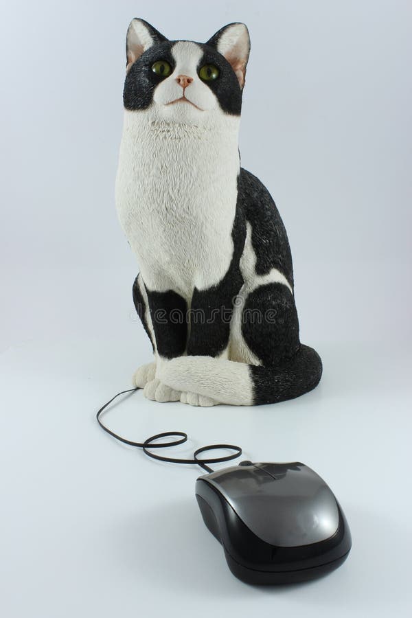 The Cat that Caught the Mouse Stock Photo - Image of cord, colours ...