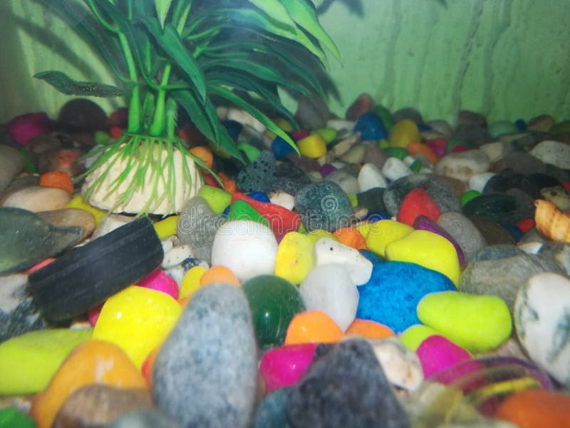 Colour stone stock image. Image of water, stone, colour - 130735933