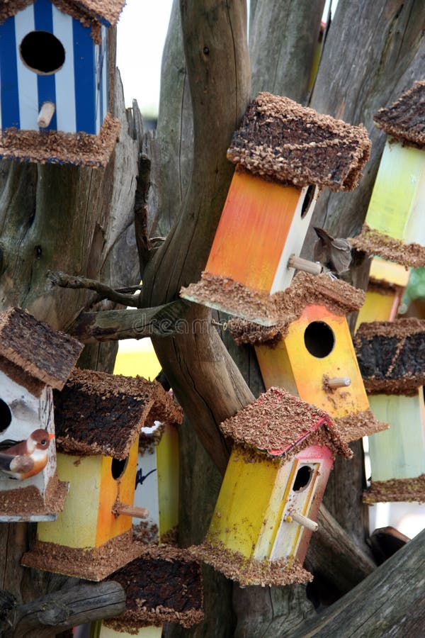 Coloured bird houses stock image. Image of wood, bird - 13338567
