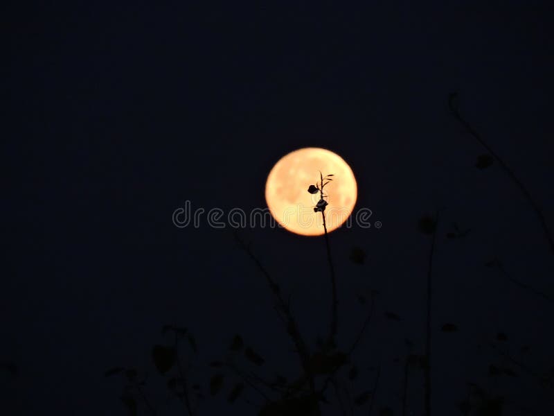 Coloured moon stock photo. Image of naked, relaxing - 112461460
