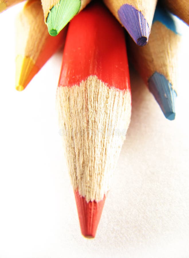 Three Color Pencils Made of a Natural Tree and Pine Cone Stock Image ...