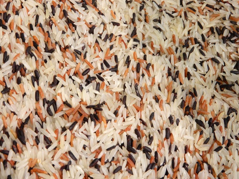 Coloured rice stock photo. Image of white, staple, mixture - 209755930