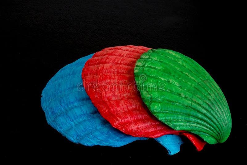 Red,Green,Blue seashells stock image. Image of wall, colourful - 54821613
