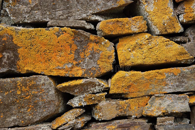 Coloured Stones Picture. Image: 232239