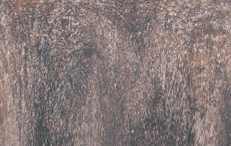 Coloured texture stock photo. Image of material, backdrop - 261627012