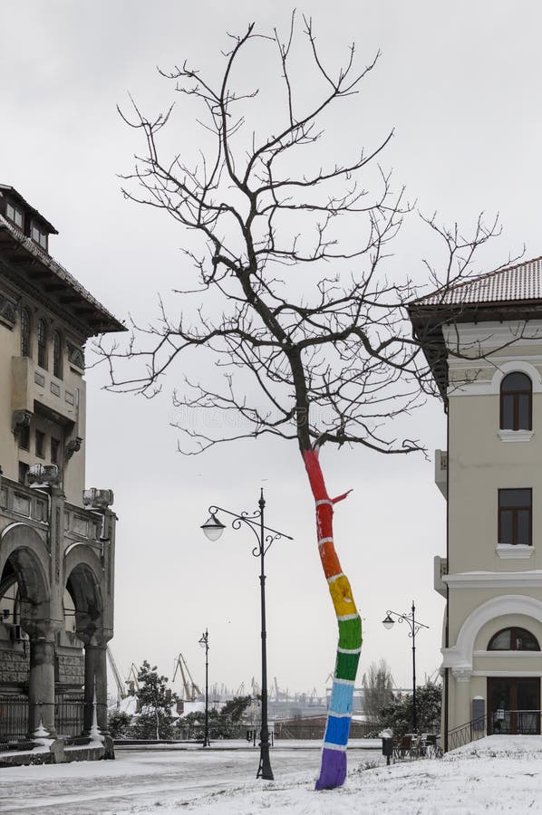 Coloured tree stock image. Image of constanta, snow, winter - 53184861