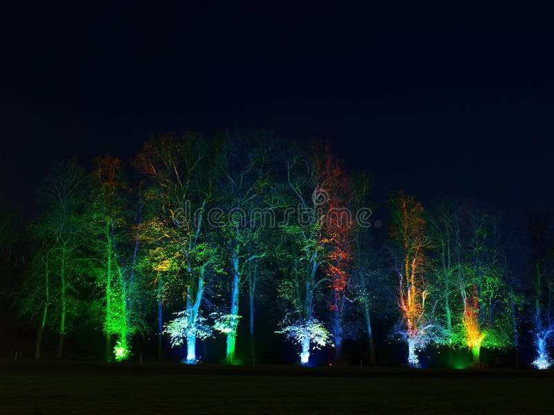 Uplit Trees Stock Photos - Free & Royalty-Free Stock Photos from Dreamstime