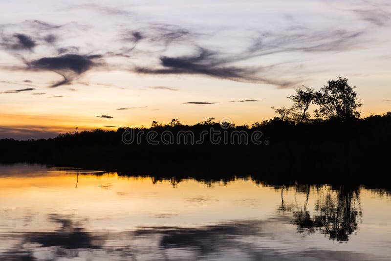 Amazon Sunset stock photo. Image of rivers, peru, jungle - 15314