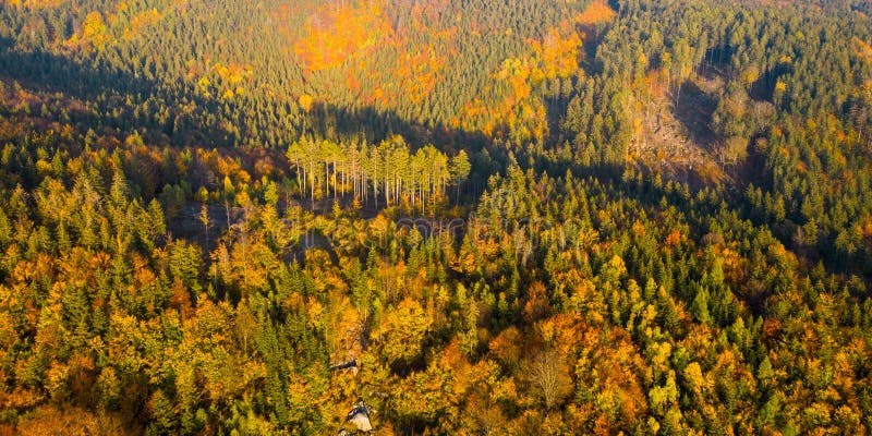 Colourful Autumn Forest of Jizera Mountains from Above Stock Photo ...