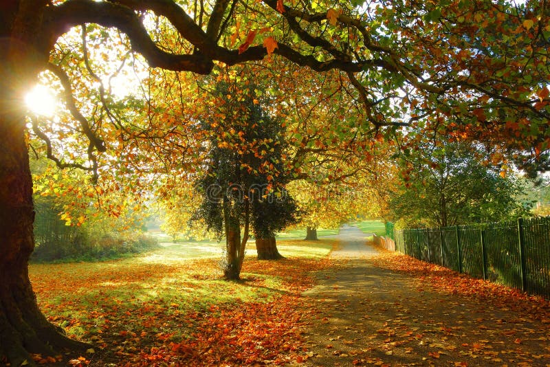 A Colourful Autumn Landscape. Stock Image - Image of rural, autumn ...