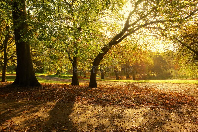 A Colourful Autumn Landscape. Stock Image - Image of golden, nature ...