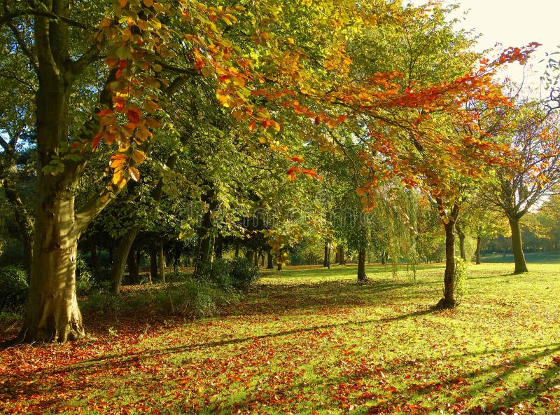 A Colourful Autumn Landscape. Stock Image - Image of colourful, scenic ...