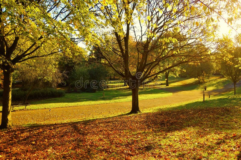 A Colourful Autumn Landscape. Stock Image - Image of rural, trees ...