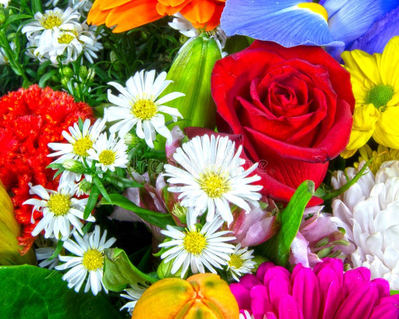 Colourful Bunch of Mixed Flowers Closeup Stock Photo - Image of closeup ...