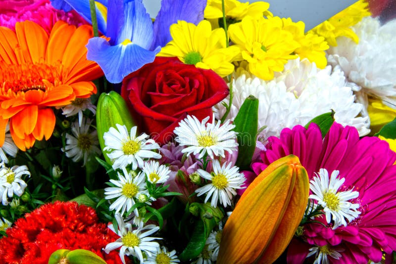 Colourful Bunch of Mixed Flowers Closeup Stock Image - Image of geoff ...