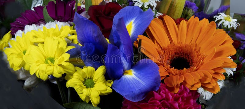 Colourful Bunch of Mixed Flowers Closeup Stock Image - Image of natural ...