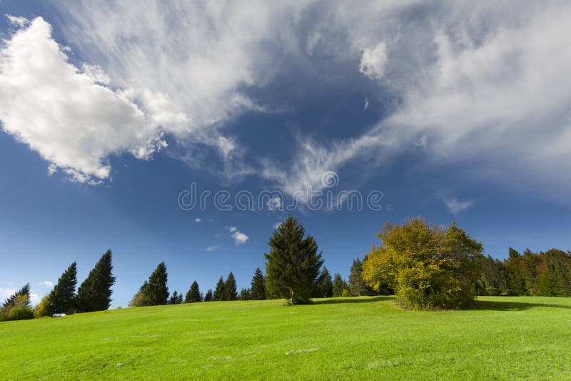 Colourful Bush in Autumn with Blue Cloudy Sky Stock Image - Image of ...