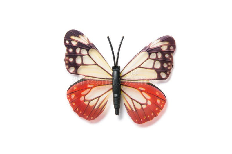 The Colourful Butterfly Isolated on White Background Stock Photo ...