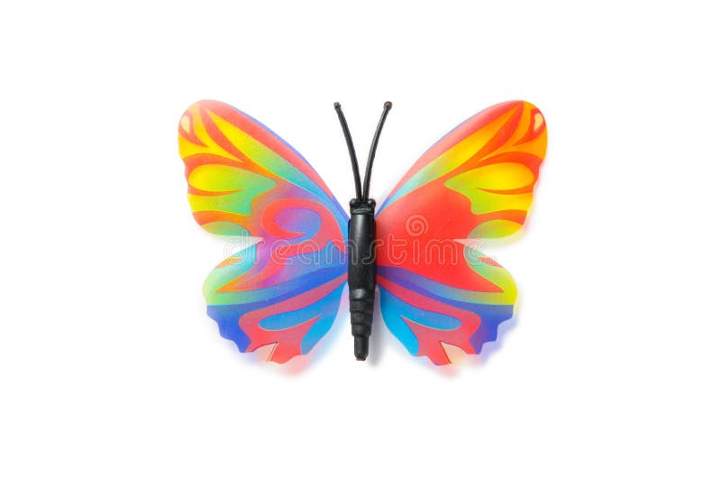The Colourful Butterfly on White Background Stock Photo - Image of ...